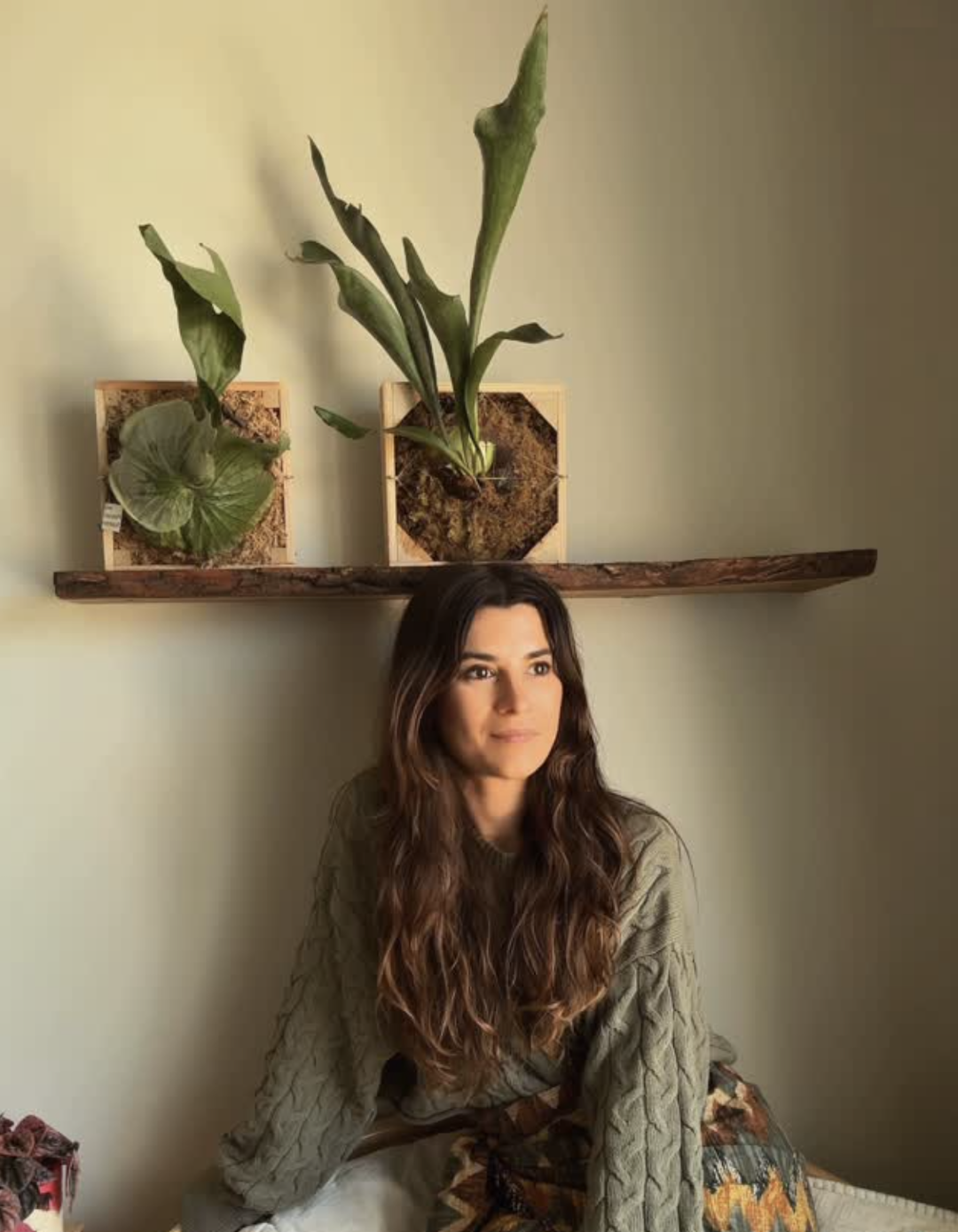 Plantitis Crónica – Okiko/Creatives